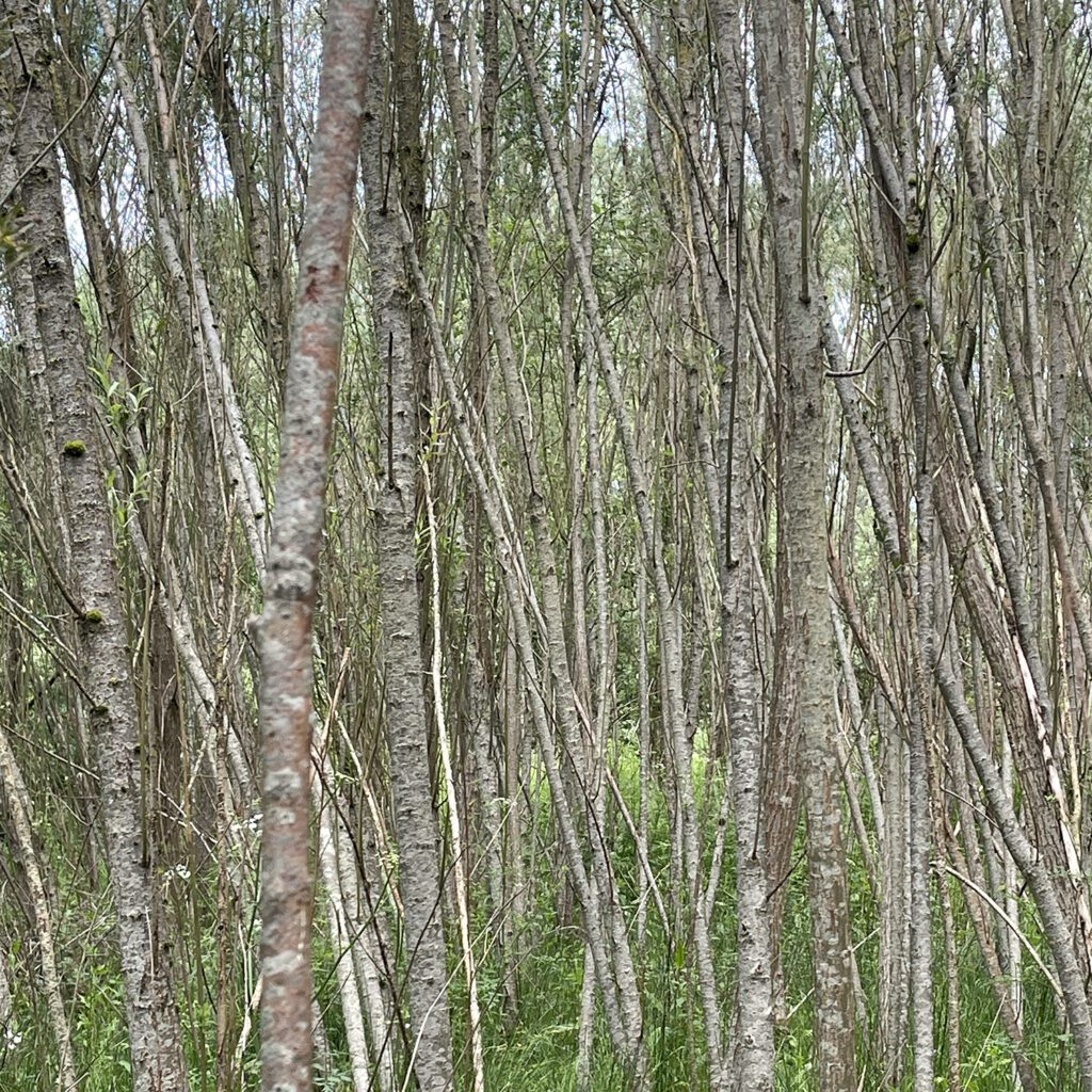 Quality Over Quantity In Followers | The Headshot Guy